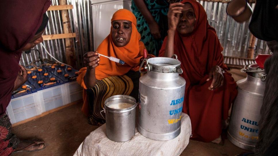 Somali women manage dairy initiative - InfoMigrants