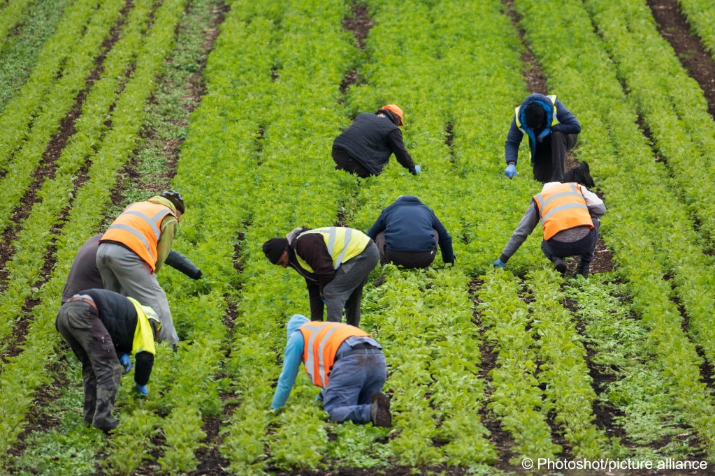 NGO report alleges new UK visa policies put agricultural and care ...