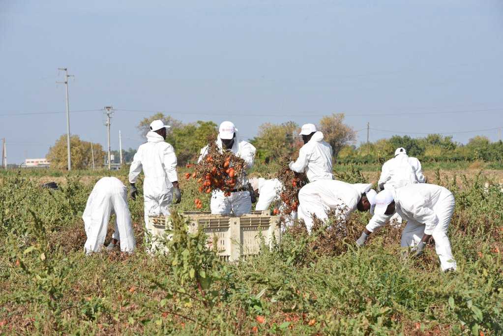 Sicily: Entrepreneurship project aims to counter exploitation in farm ...