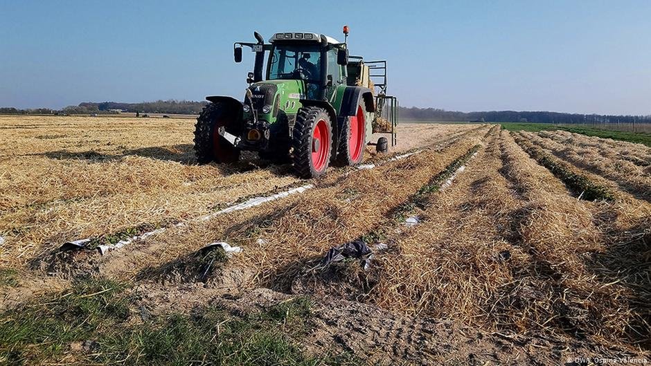 Germany to allow asylum seekers to work in agriculture until October ...