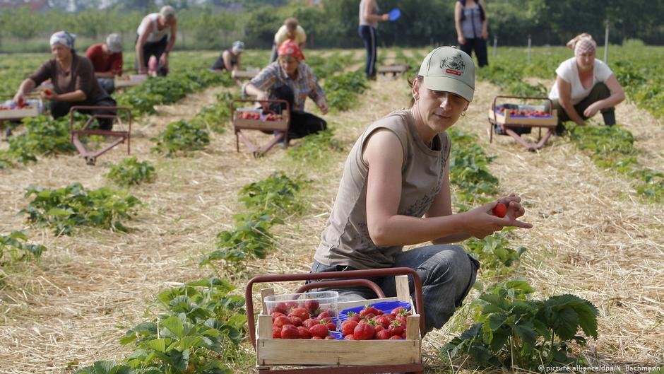 Ukrainian workers struggle to reach the EU amid coronavirus ...
