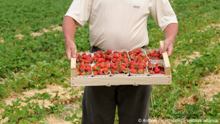 Germany: How to apply for a seasonal work visa - InfoMigrants