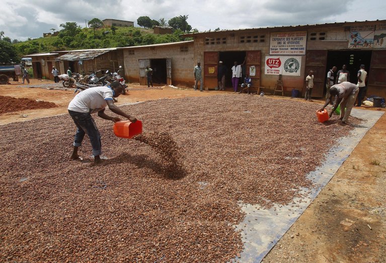 Food sovereignty to fight poverty-derived migration - InfoMigrants