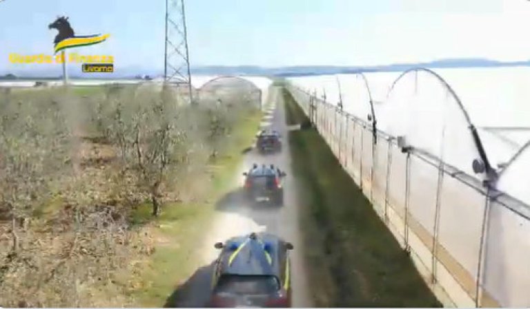 Italian and foreign farm workers 'exploited in Tuscany' - InfoMigrants